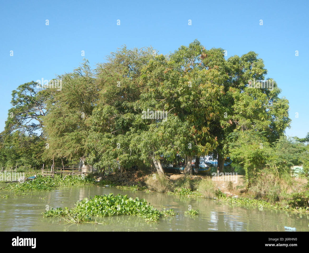 09623 River Districts Candelaria Delta Macabebe Pampanga 04 Stock Photo ...