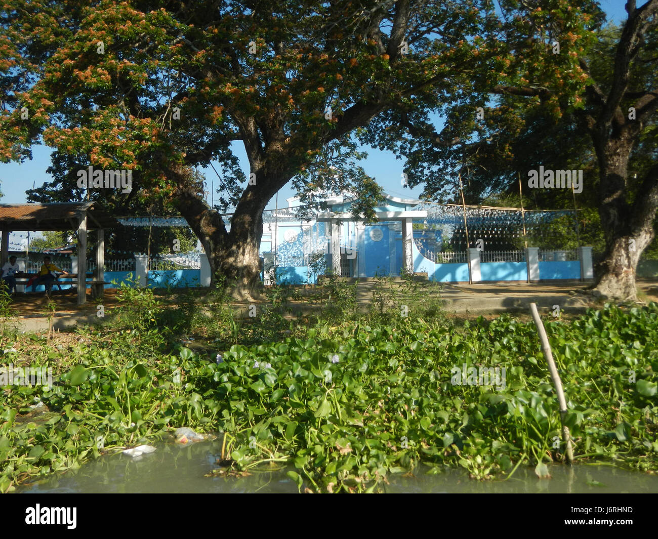 This refers to the river districts in Candelaria Delta and Macabebe ...