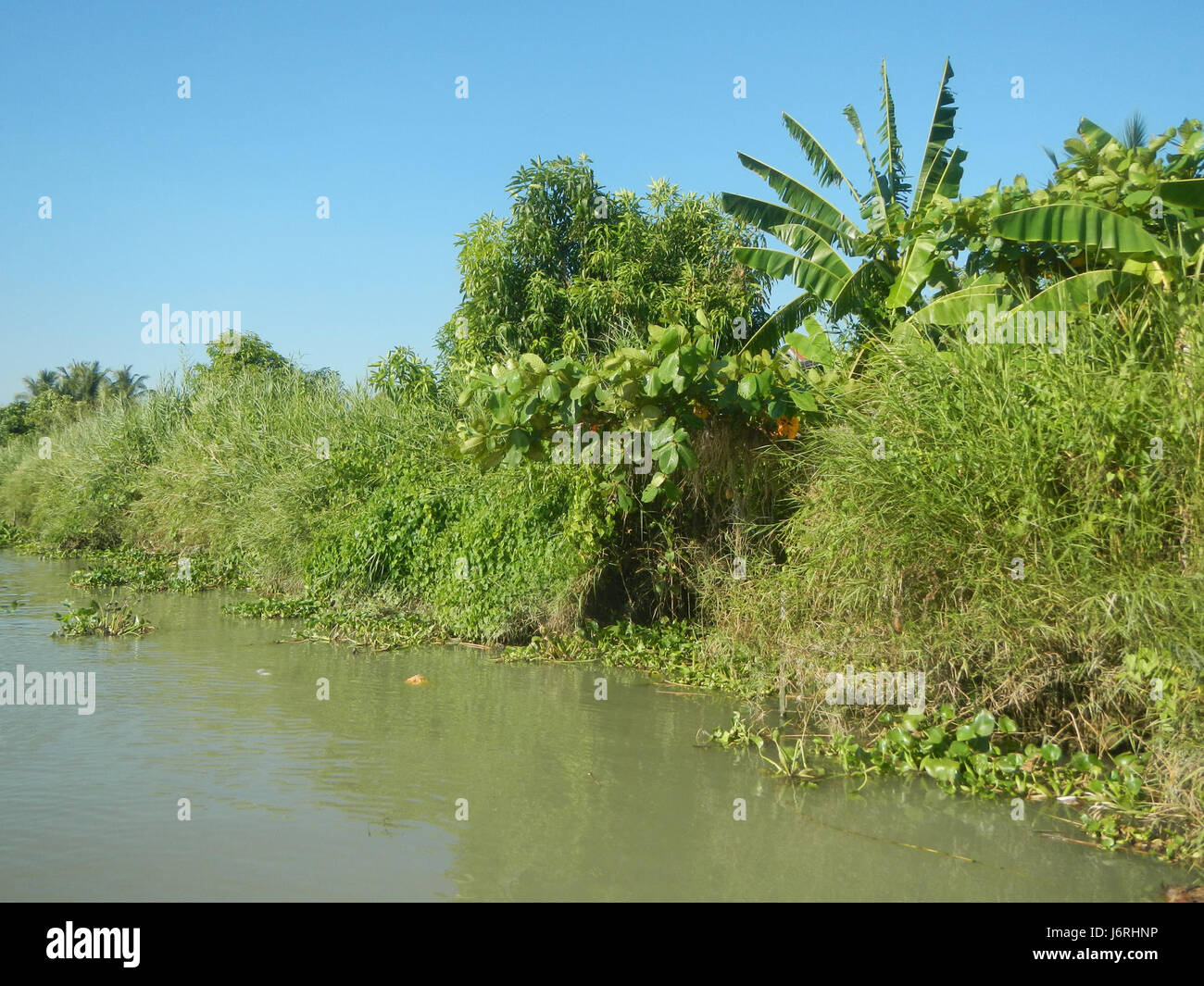 The image depicts the river districts of Candelaria Delta in Macabebe ...