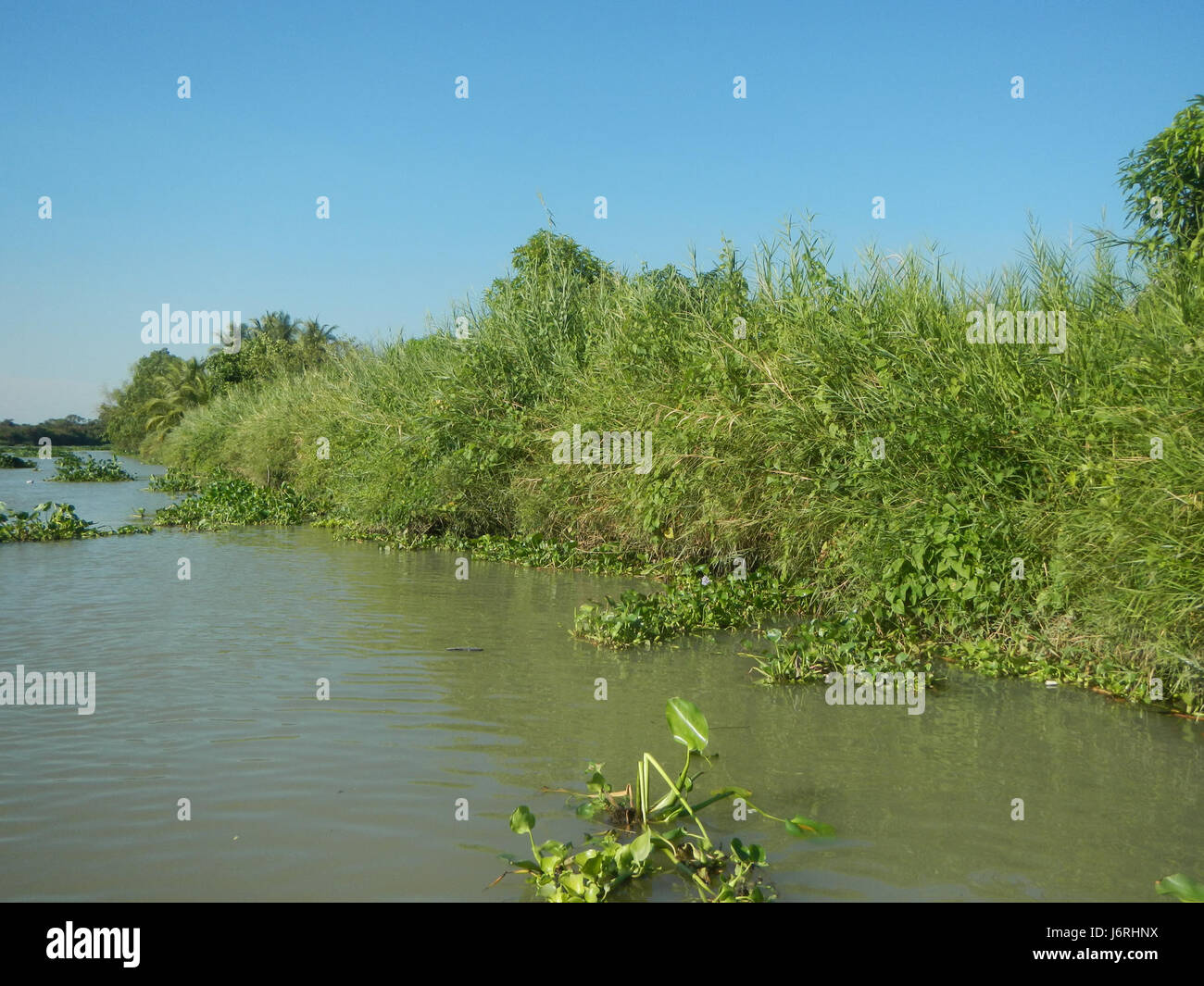 This image illustrates the river districts of Candelaria, Delta, and ...