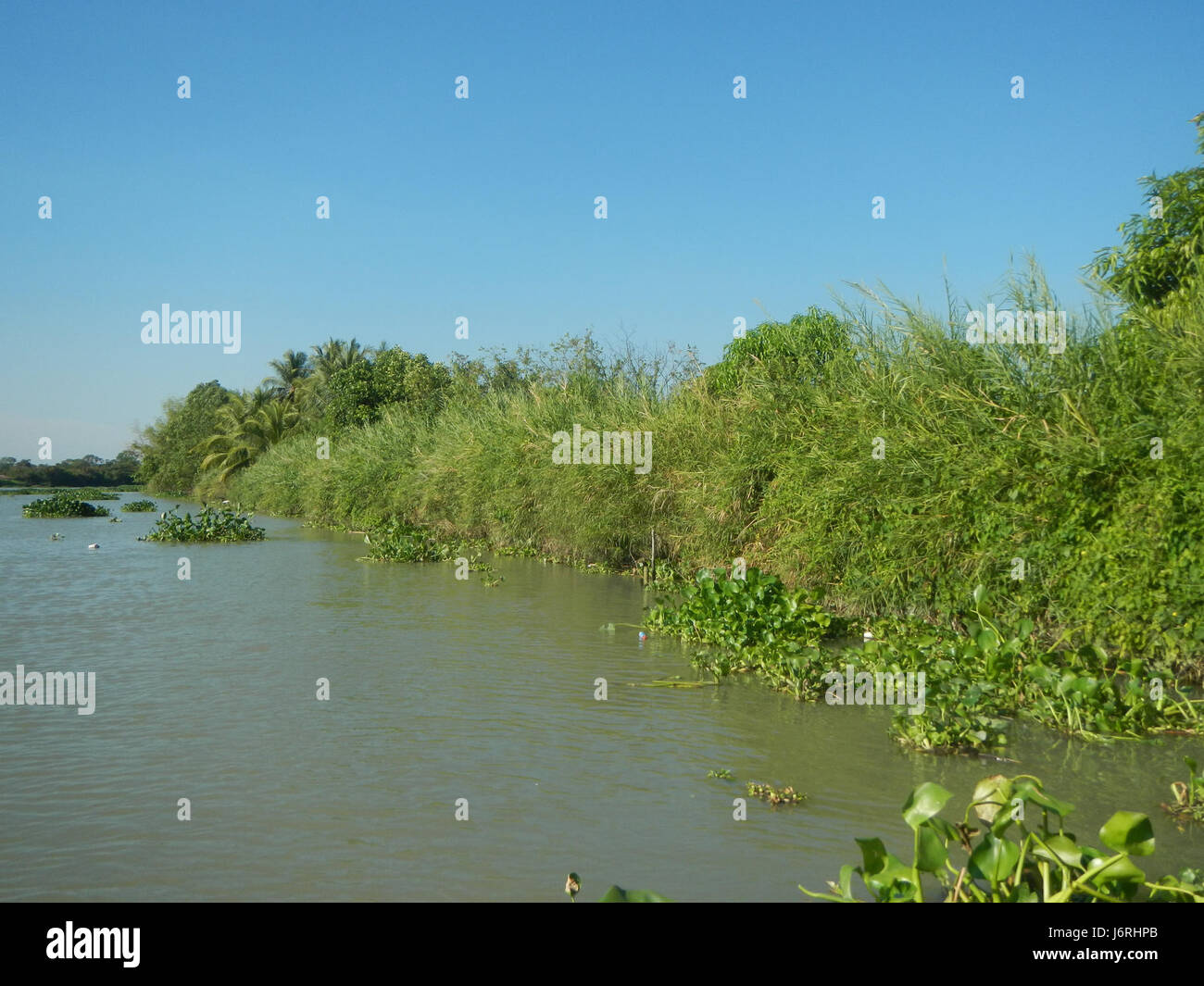 09623 River Districts Candelaria Delta Macabebe Pampanga 30 Stock Photo ...