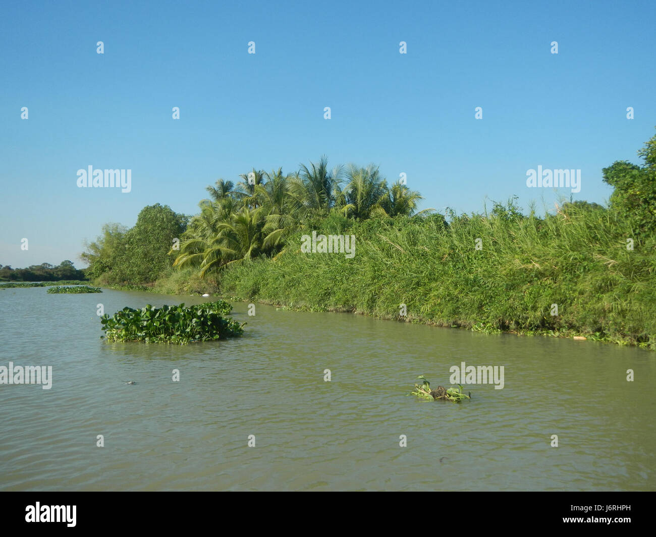 The River Districts of Candelaria Delta in Macabebe, Pampanga ...