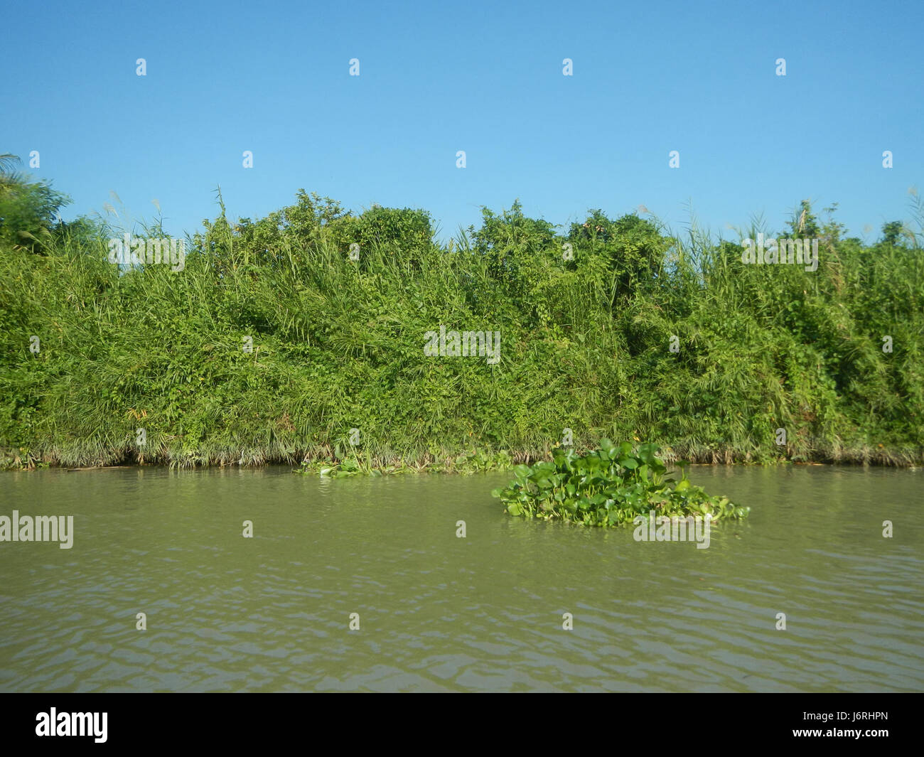 A reference to the river districts in Candelaria, Delta Macabebe in ...