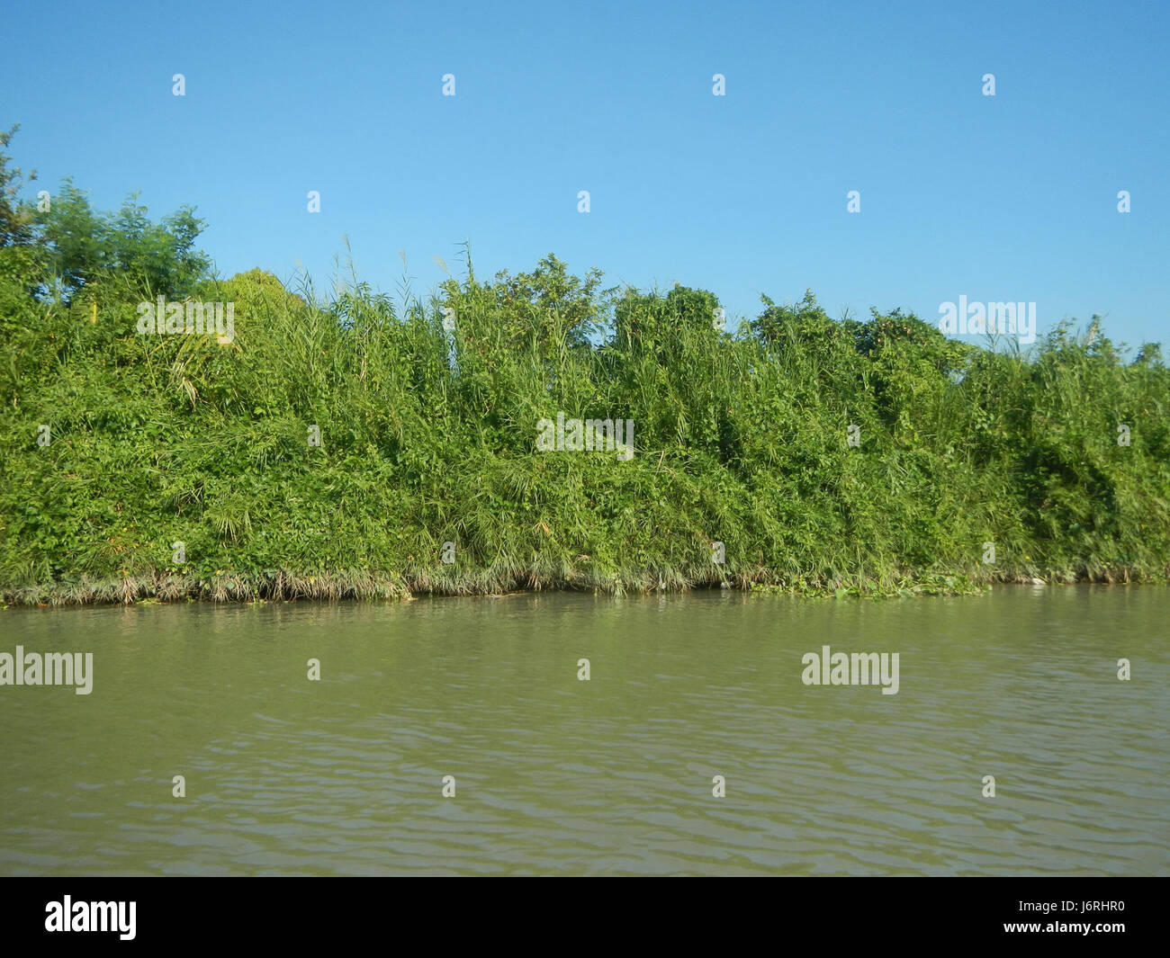 The Candelaria Delta in Macabebe, Pampanga, is a vital geographical ...