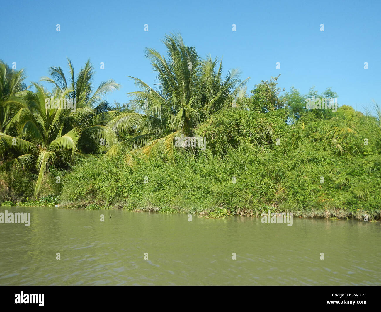 This title describes the river districts of Candelaria Delta and ...