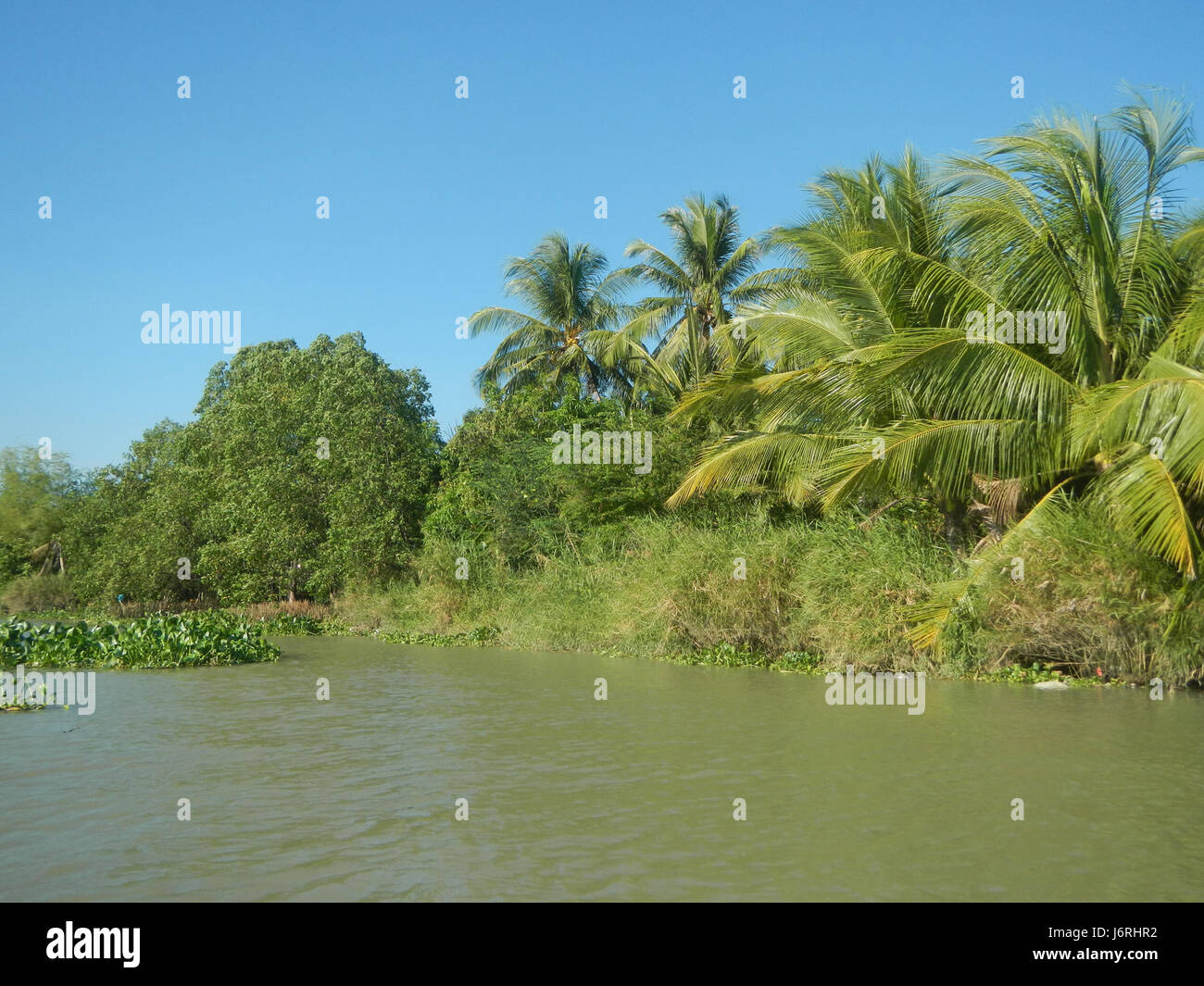 This map highlights the river districts of Candelaria Delta and ...