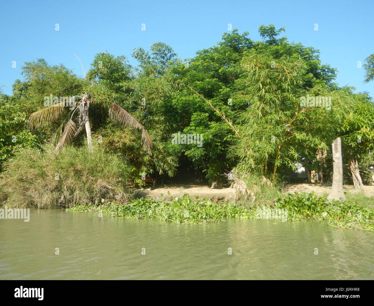 The River Districts of Candelaria Delta and Macabebe in Pampanga ...