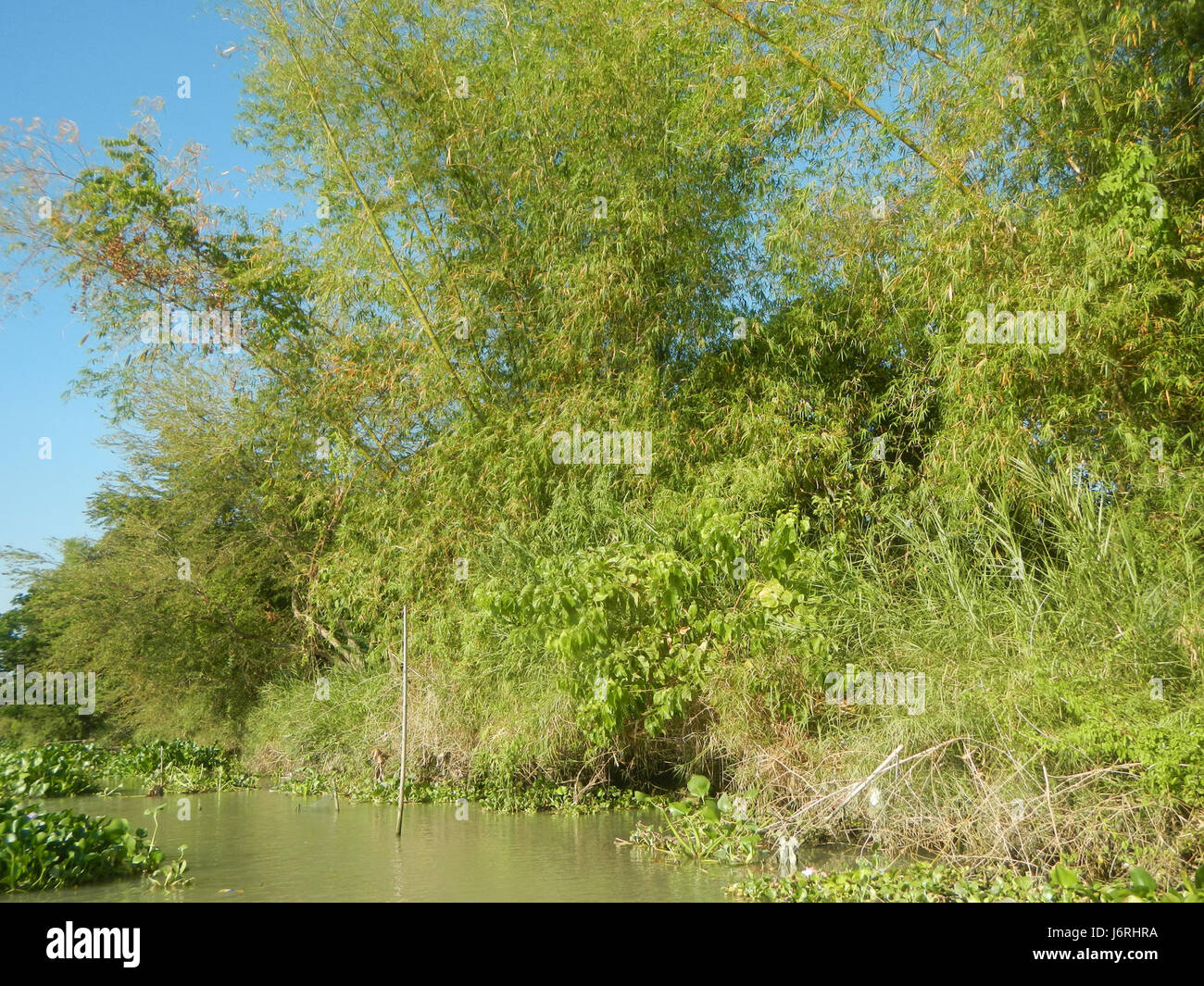 09668 River Districts Candelaria Delta Macabebe Pampanga 10 Stock Photo ...