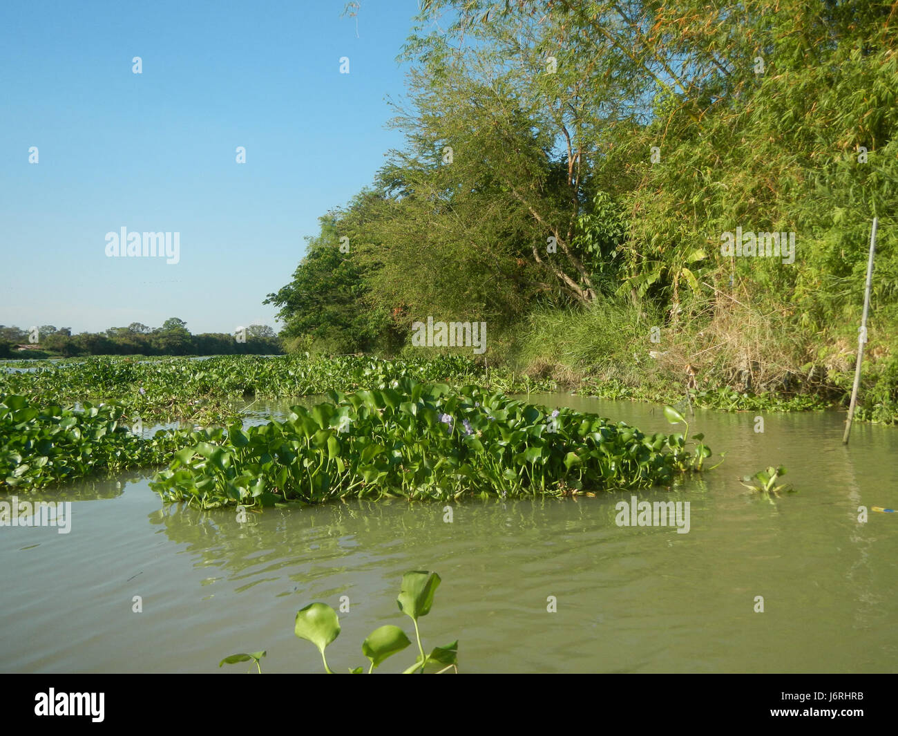 This image depicts the river districts of Candelaria Delta and Macabebe ...