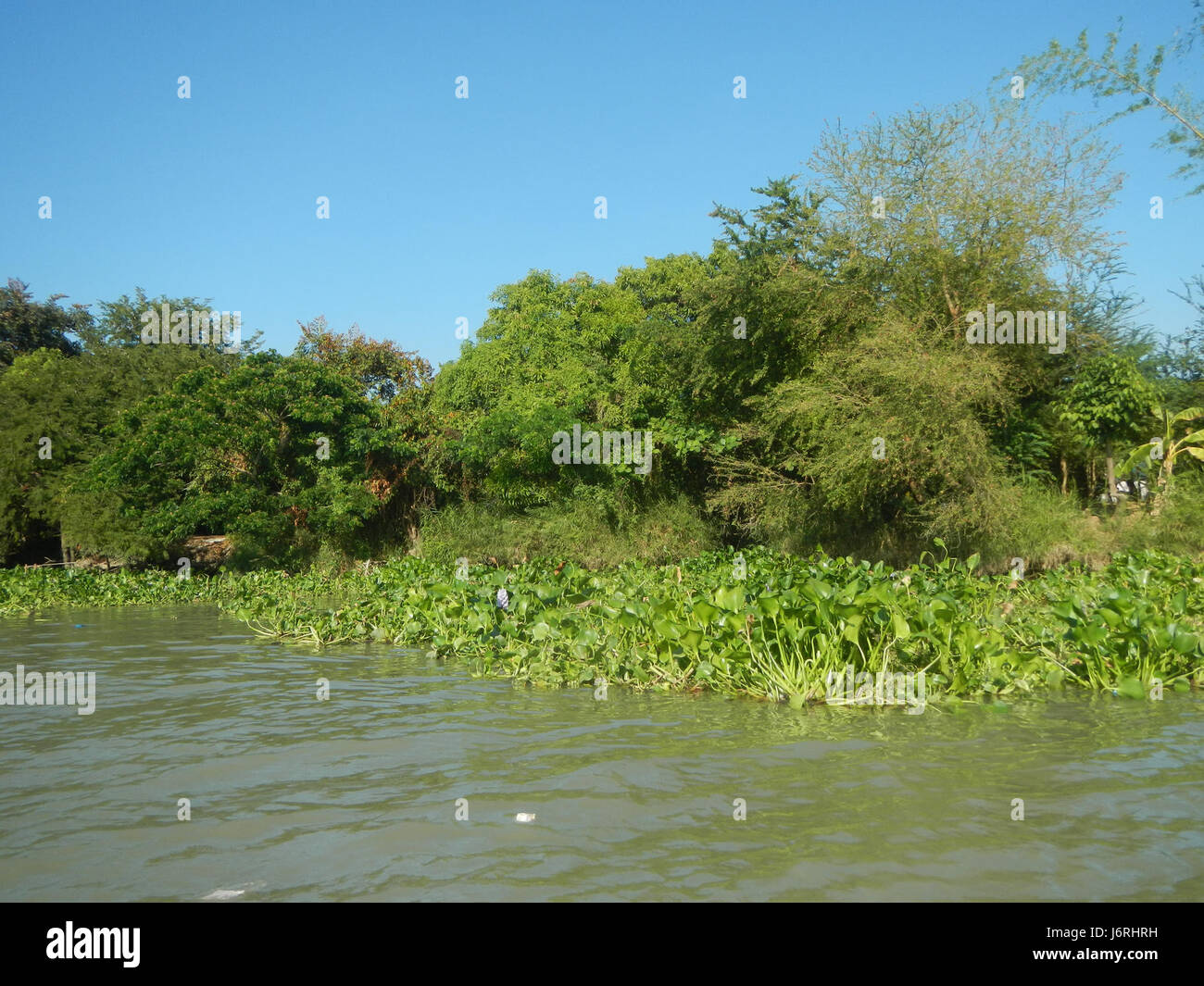 09668 River Districts Candelaria Delta Macabebe Pampanga 16 Stock Photo ...