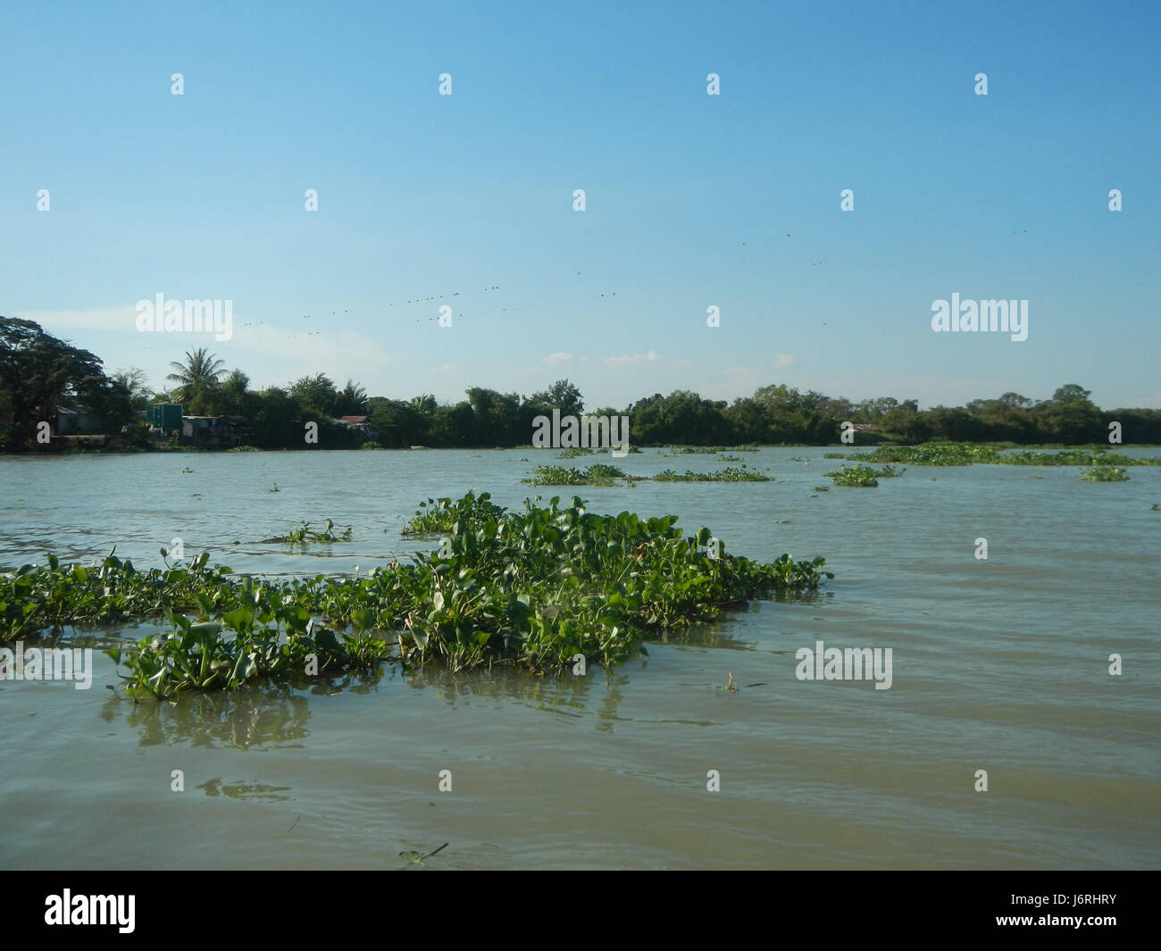 The image depicts the river districts of Candelaria Delta and Macabebe ...