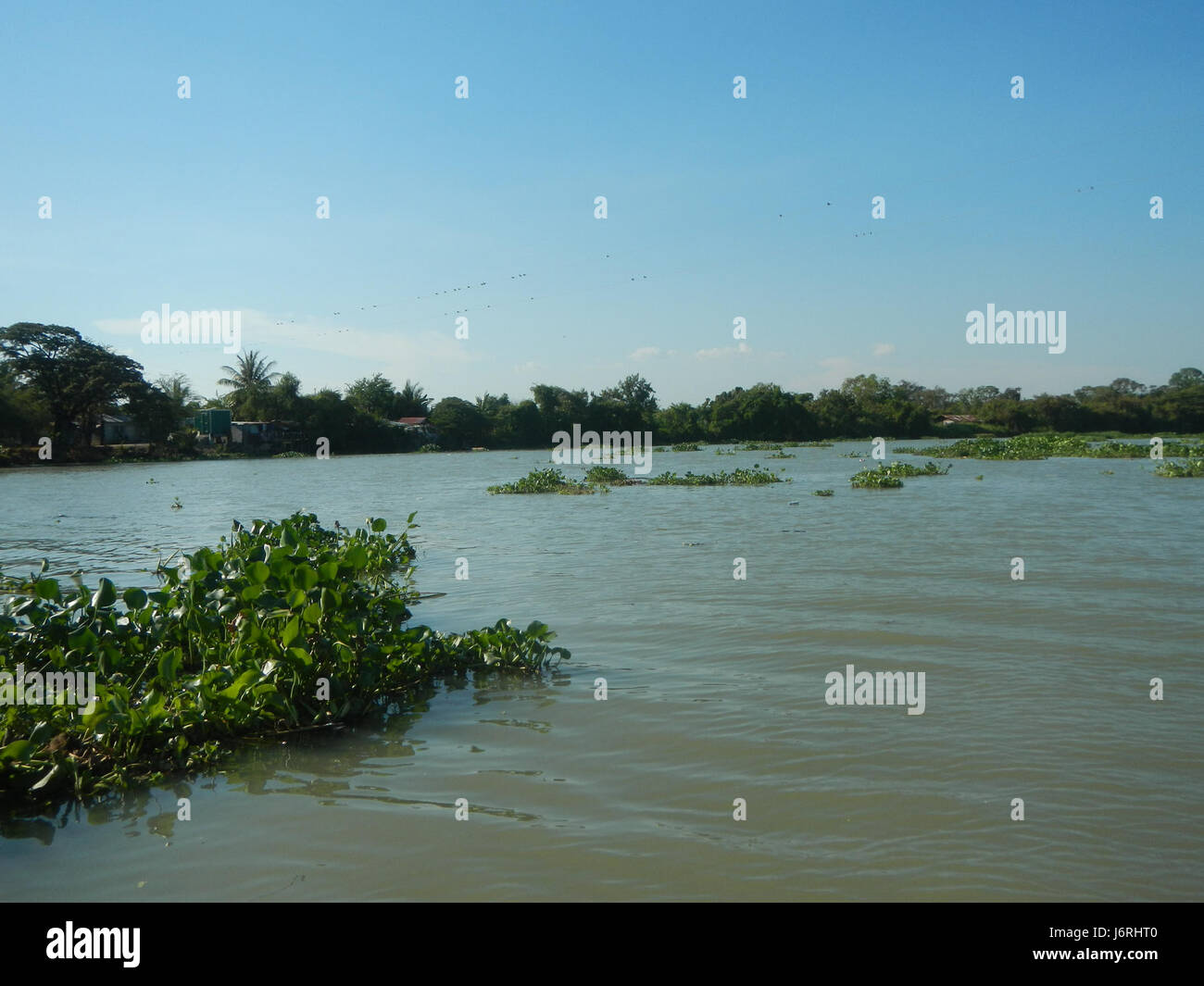 The River Districts of Candelaria Delta, located in Macabebe, Pampanga ...