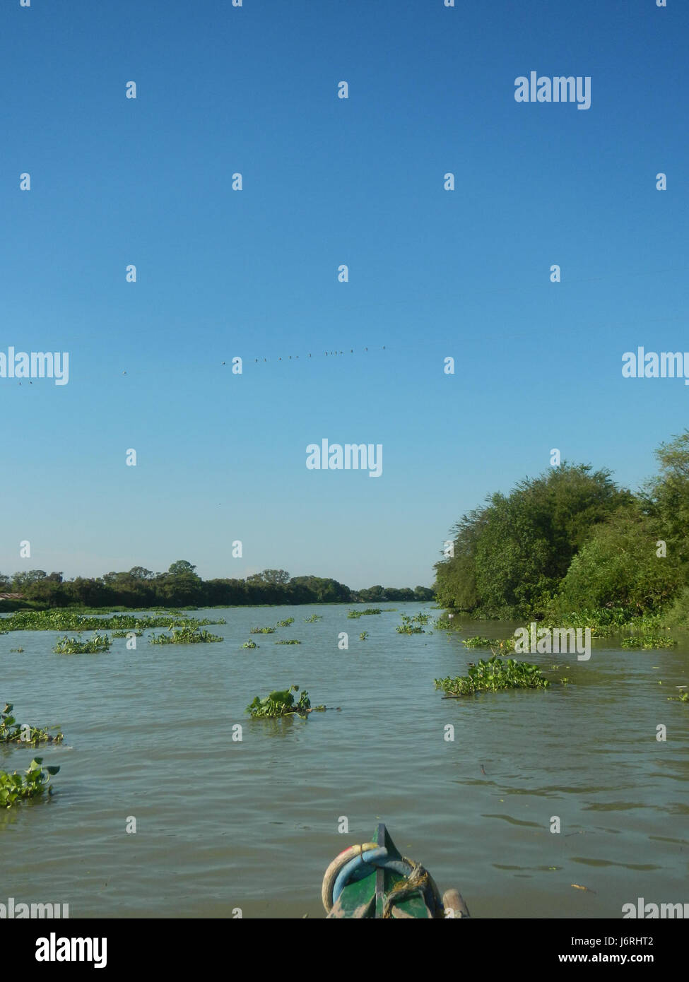 Aerial or satellite image of the Candelaria Delta in the Macabebe ...