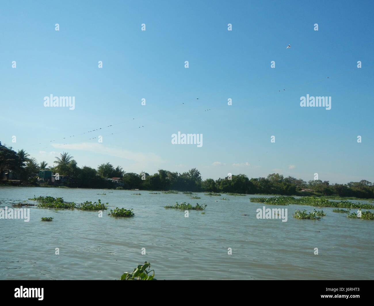 The River Districts in Candelaria Delta, Macabebe, Pampanga, include ...