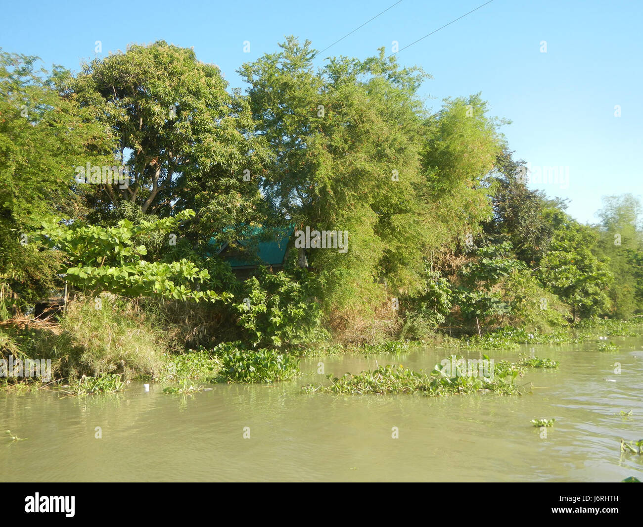 09668 River Districts Candelaria Delta Macabebe Pampanga 34 Stock Photo ...