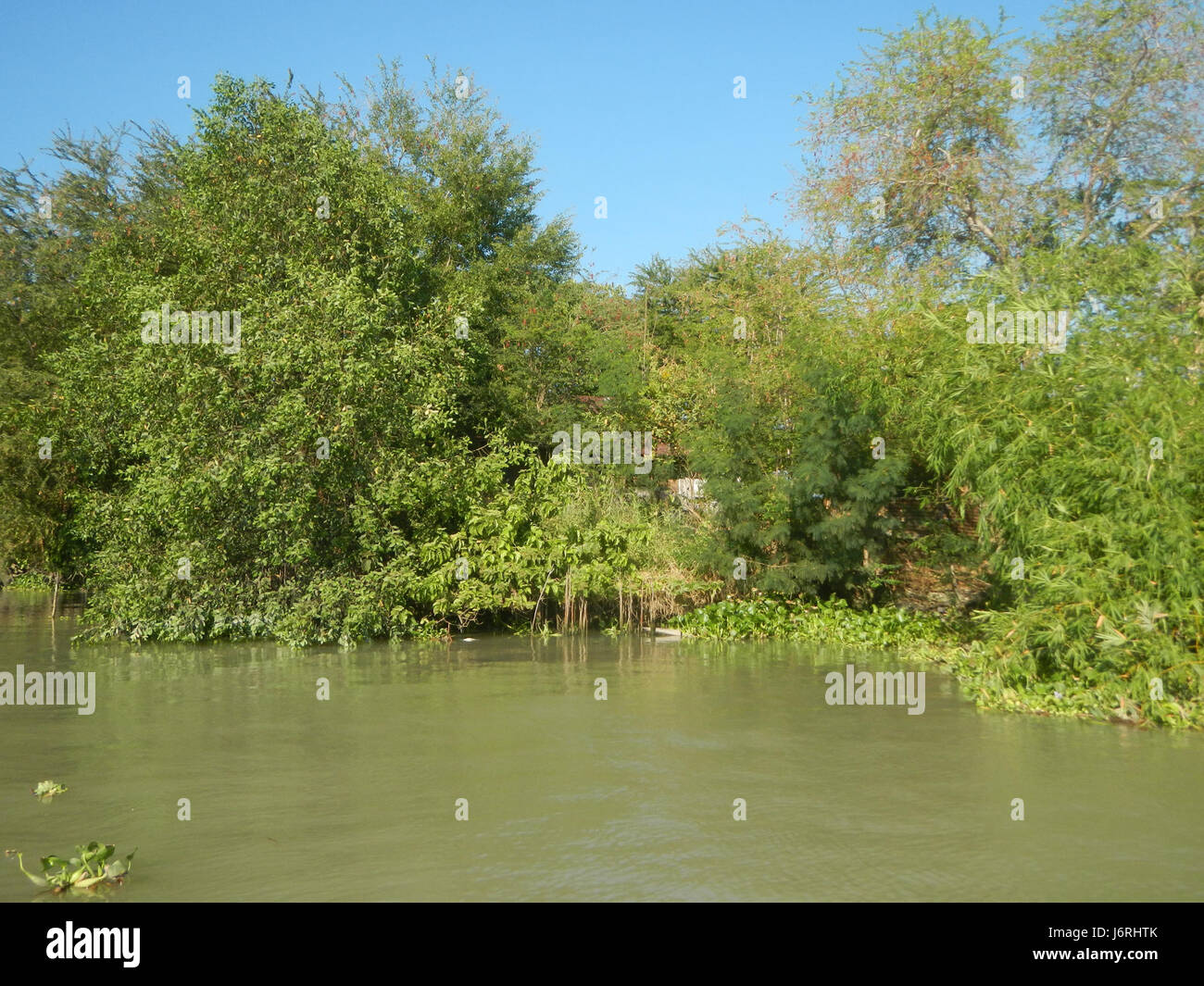 09668 River Districts Candelaria Delta Macabebe Pampanga 36 Stock Photo ...