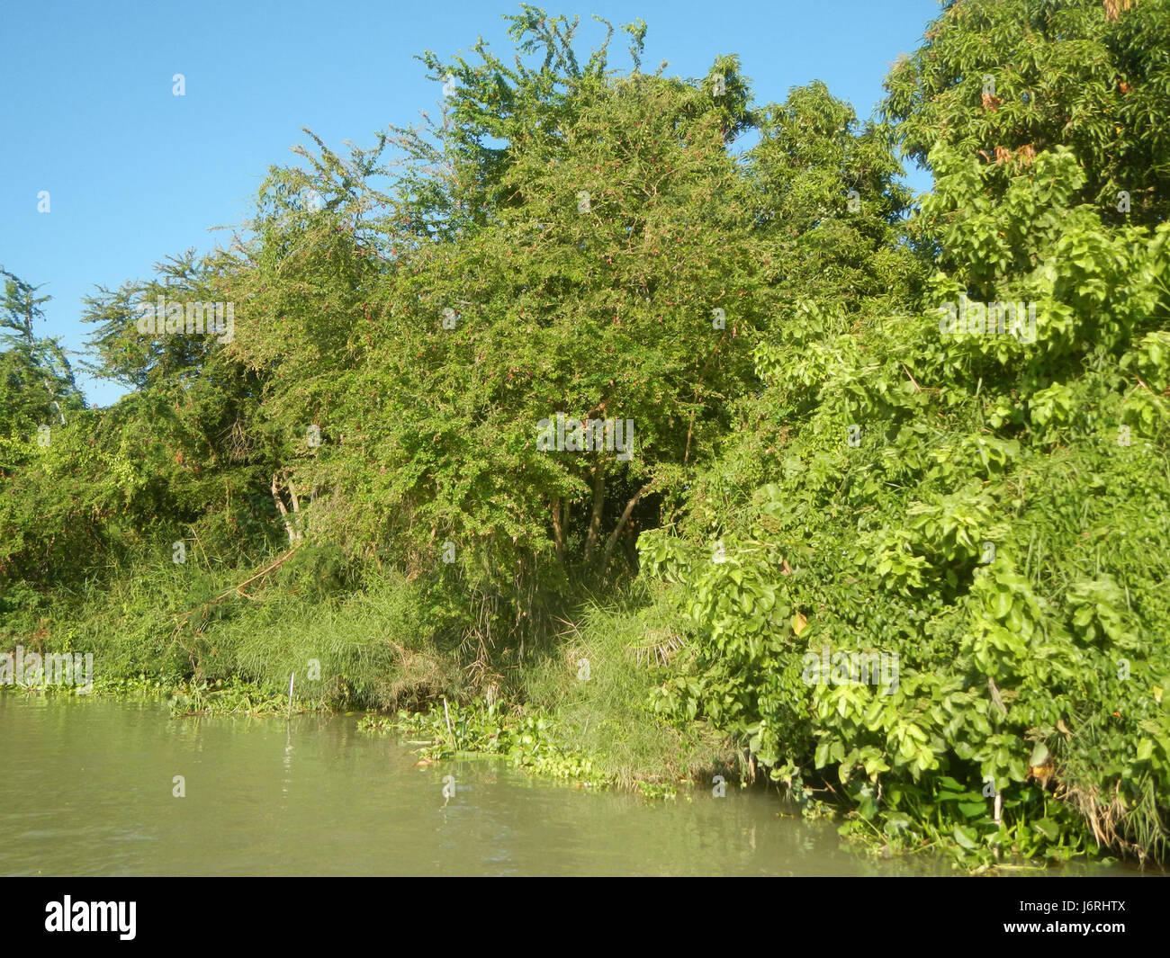 09668 River Districts Candelaria Delta Macabebe Pampanga 43 Stock Photo ...