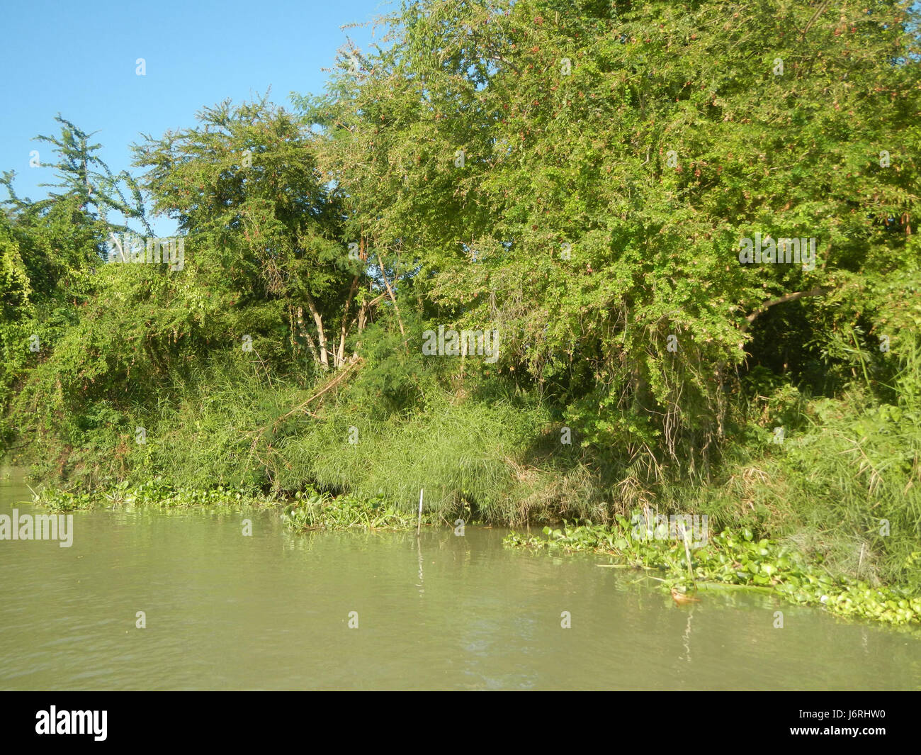 An aerial view of the River Districts in Candelaria Delta, Macabebe ...
