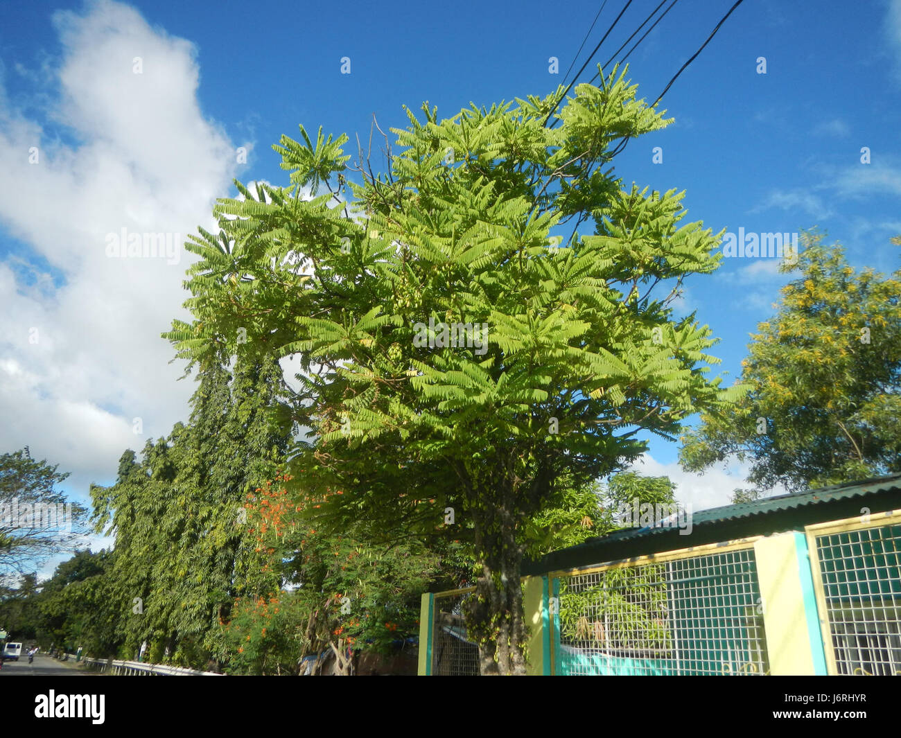 The Alejo Santos Highway in Bustos, Bulacan, is a key roadway that ...