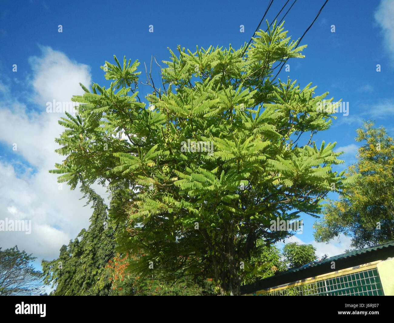 The image captures Alejo Santos Highway in Bustos, Bulacan, featuring ...