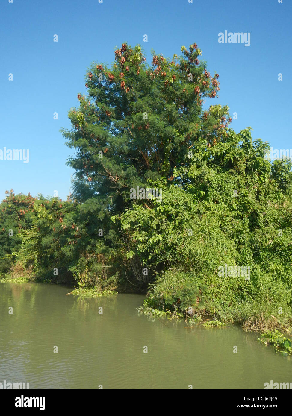 This image depicts the riverbanks of Meyto, Santa Lucia, Bulusan ...