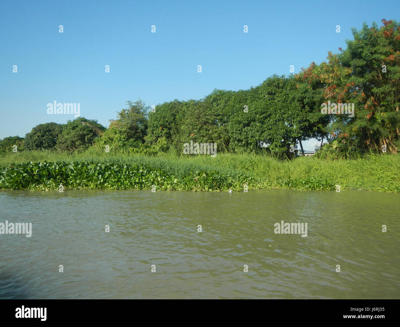 This scene from the riverbanks of Meyto Santa Lucia, Bulusan Frances ...