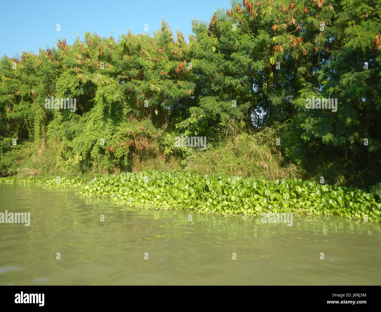 This map details the locations of Meyto, Santa Lucia, Bulusan, Frances ...