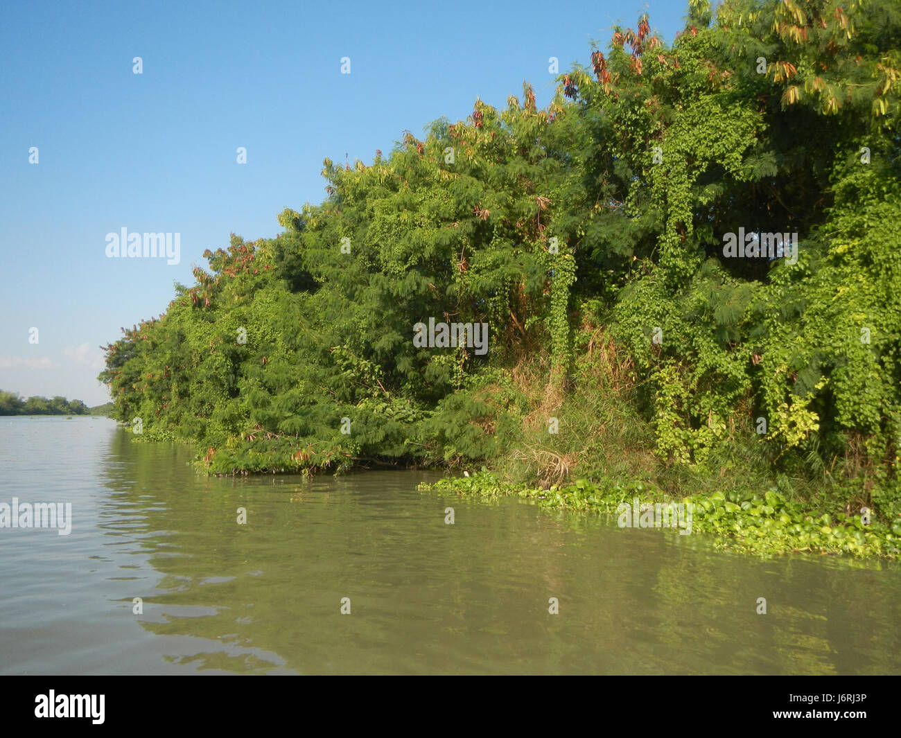 09875 Meyto, Santa Lucia, Bulusan Frances Calumpit, Bulacan 04 Stock ...