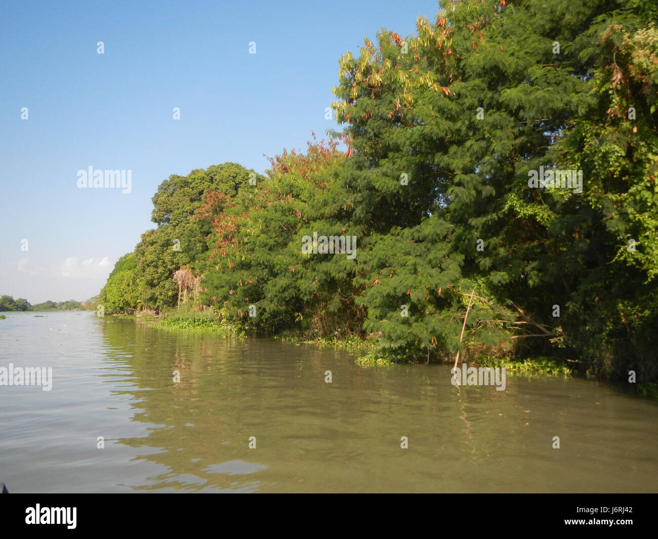 09875 Meyto, Santa Lucia, Bulusan Frances Calumpit, Bulacan 12 Stock ...