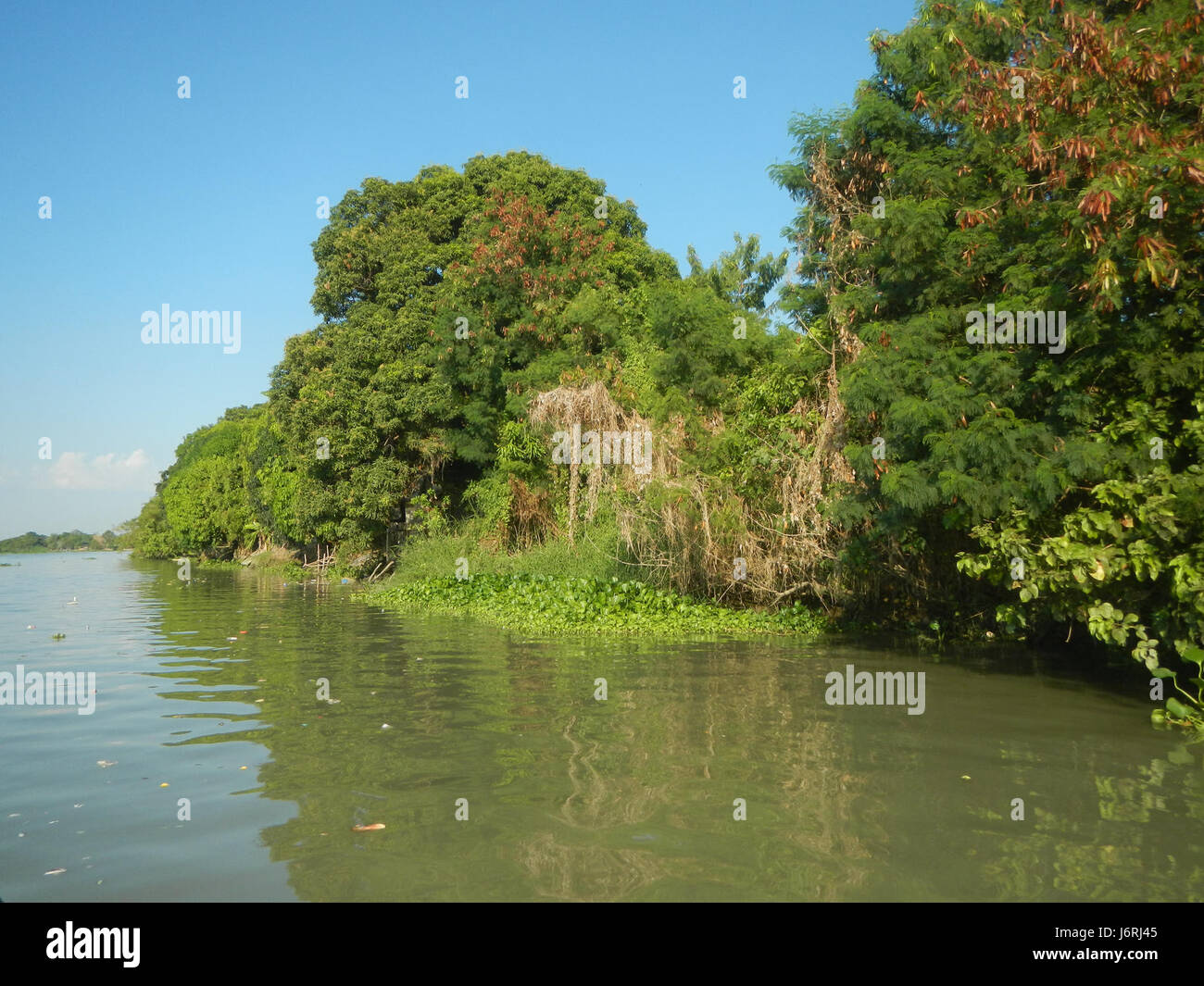 09875 Meyto, Santa Lucia, Bulusan Frances Calumpit, Bulacan 14 Stock ...