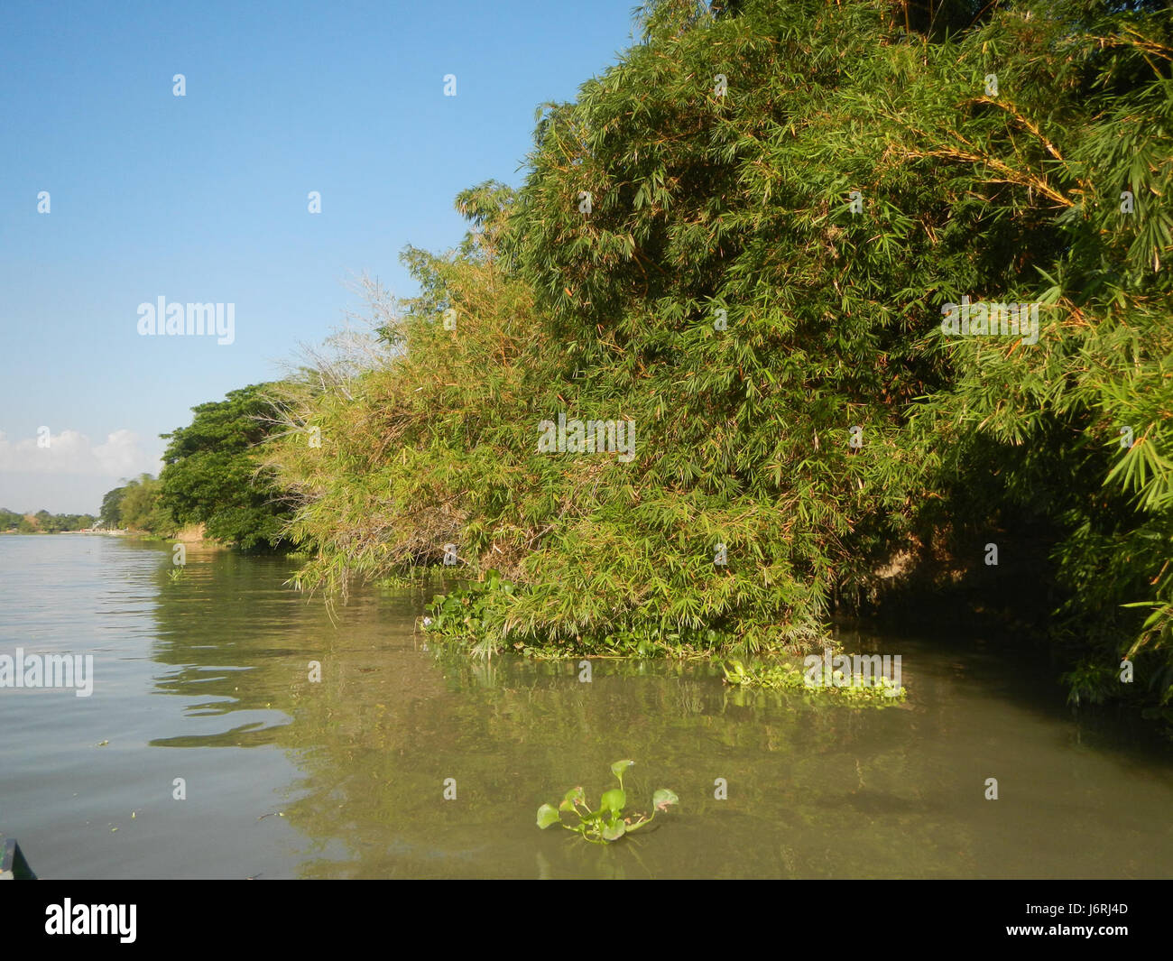 09875 Meyto, Santa Lucia, Bulusan Frances Calumpit, Bulacan 22 Stock ...