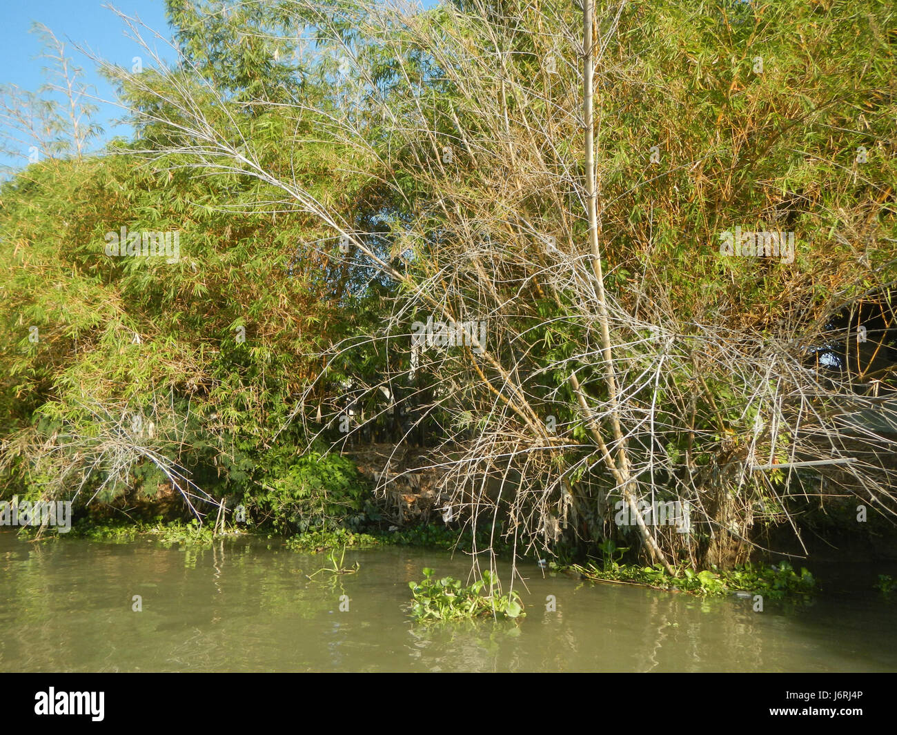 09875 Meyto, Santa Lucia, Bulusan Frances Calumpit, Bulacan 25 Stock ...