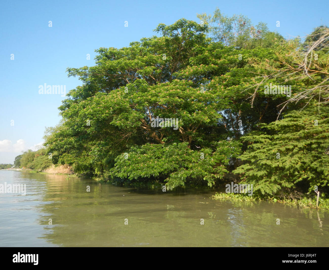 09875 Meyto, Santa Lucia, Bulusan Frances Calumpit, Bulacan 27 Stock ...
