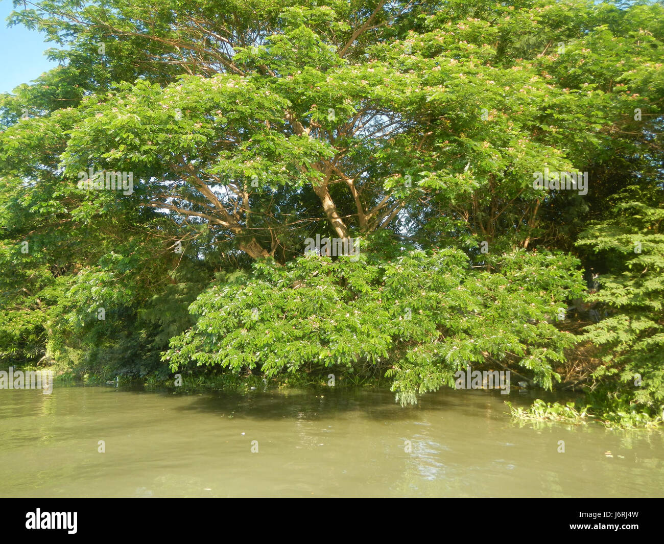 09875 Meyto, Santa Lucia, Bulusan Frances Calumpit, Bulacan 28 Stock ...