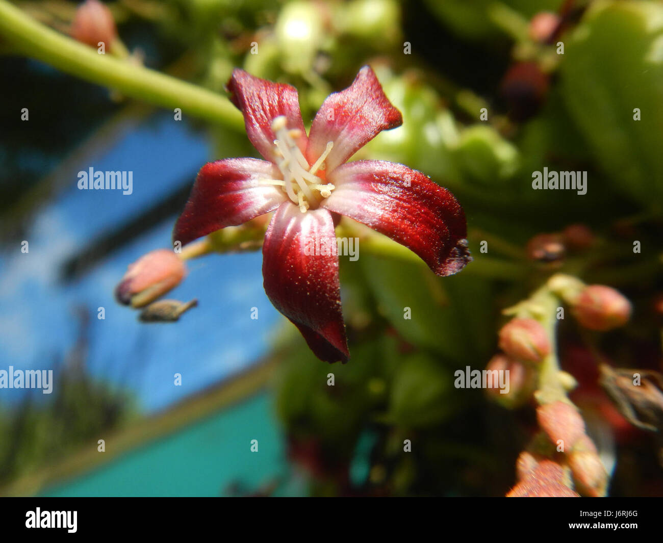 The Alejo Santos Highway in Bustos, Bulacan, crosses the Cambaog Bridge ...