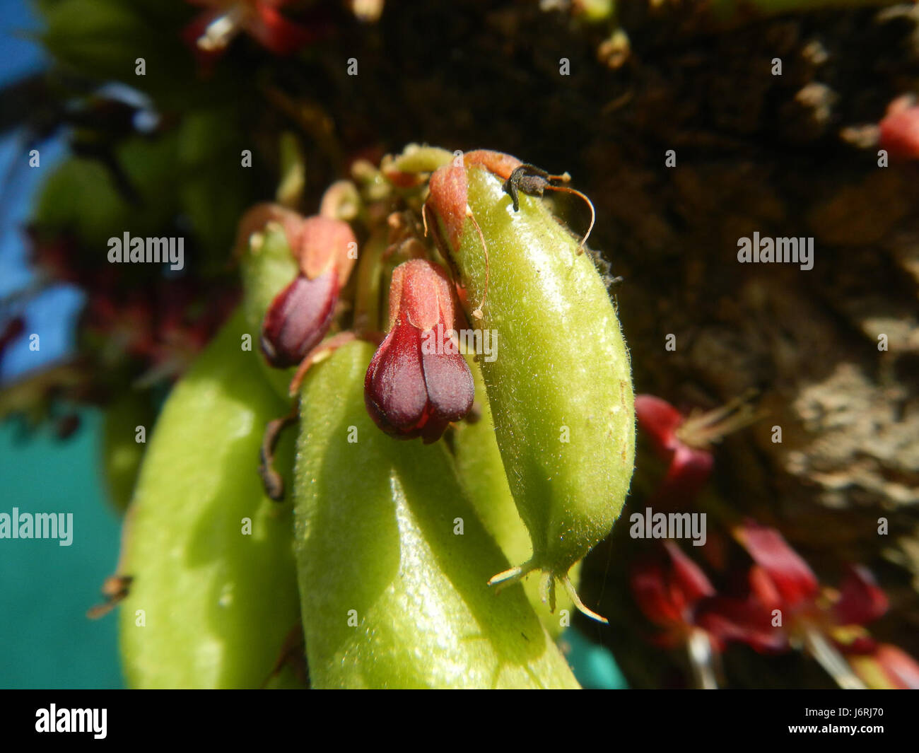 Photograph 08622 captures the Alejo Santos Highway in the Philippines ...