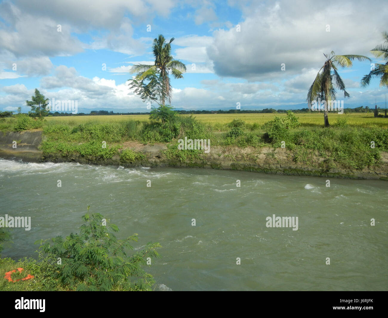 This image shows the paddy fields and irrigation canals along Farm to ...