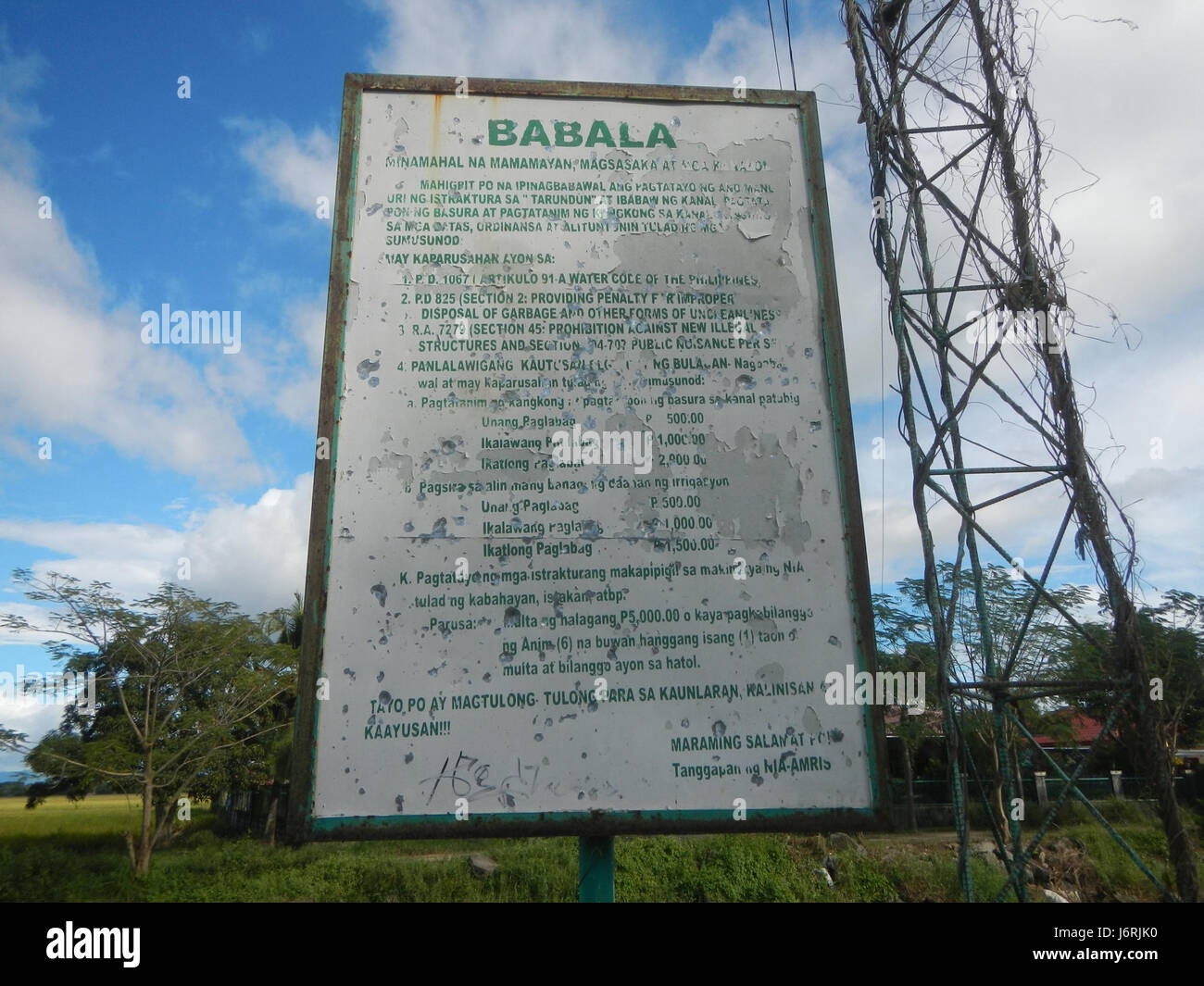 08623 Paddy fields trees irrigation canals Farm to Market Road ...