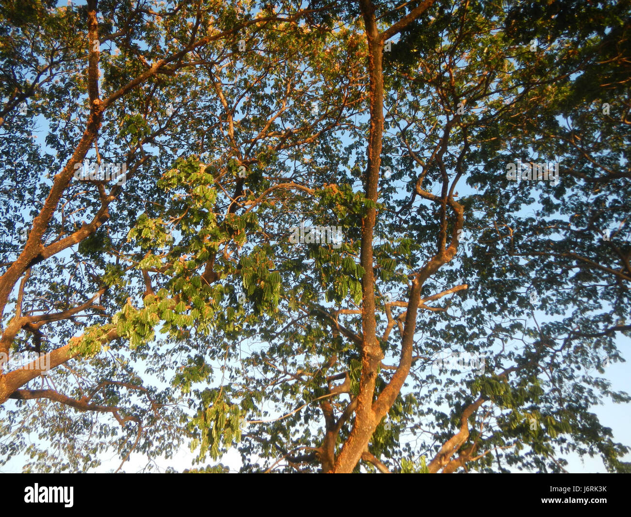 This location is in Minalin, Pampanga, Philippines, specifically near ...