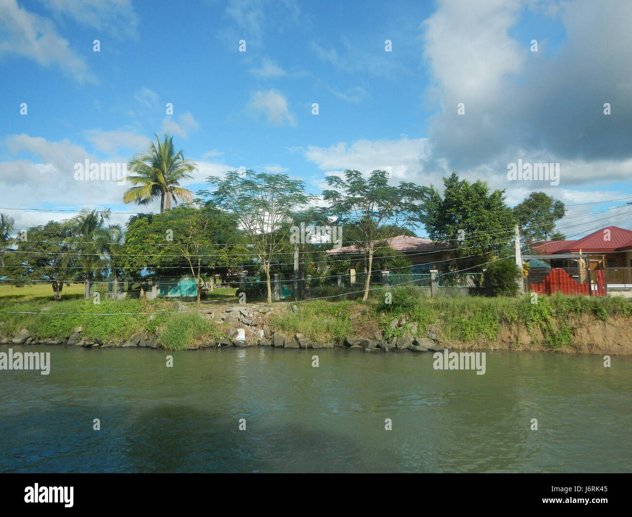 Aerial view of the paddy fields, trees, and irrigation canals along the ...