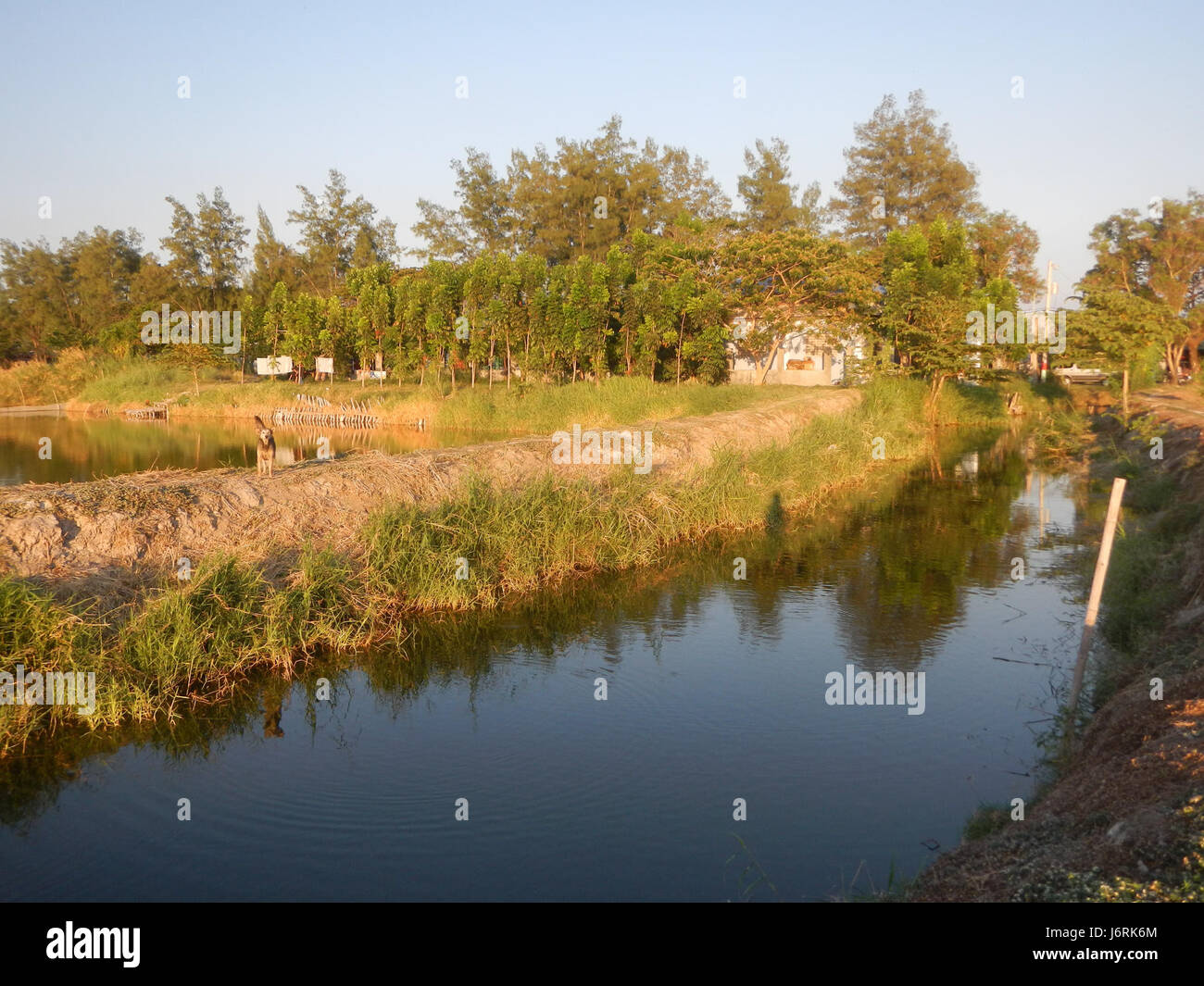 This image captures the fish ponds in Minalin, Pampanga, along San ...