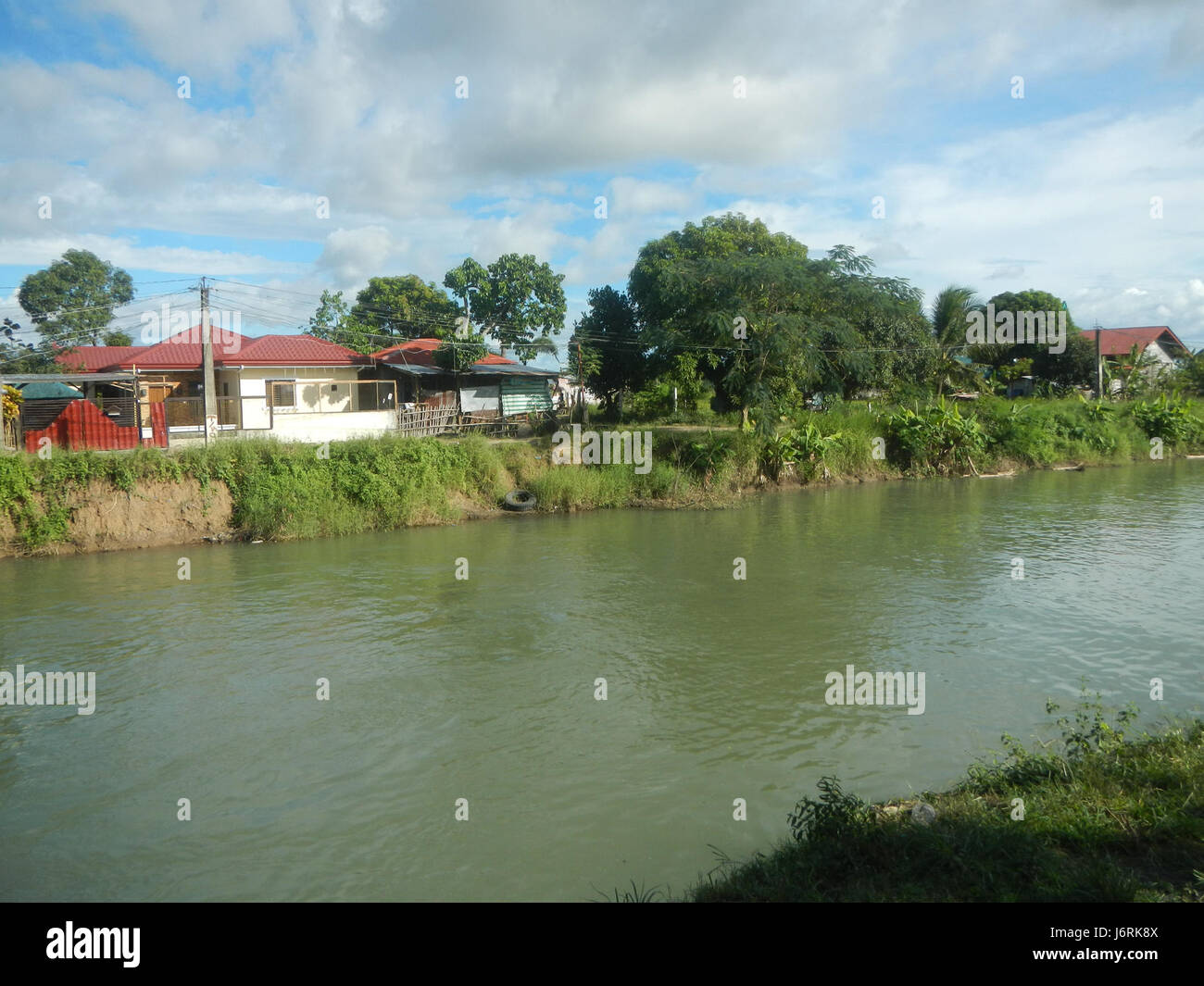 08723 Paddy fields trees irrigation canals Farm to Market Road Talampas ...