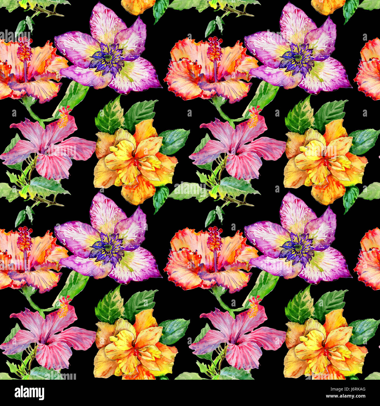 Wildflower hibiscus flower pattern in a watercolor style isolated Stock ...