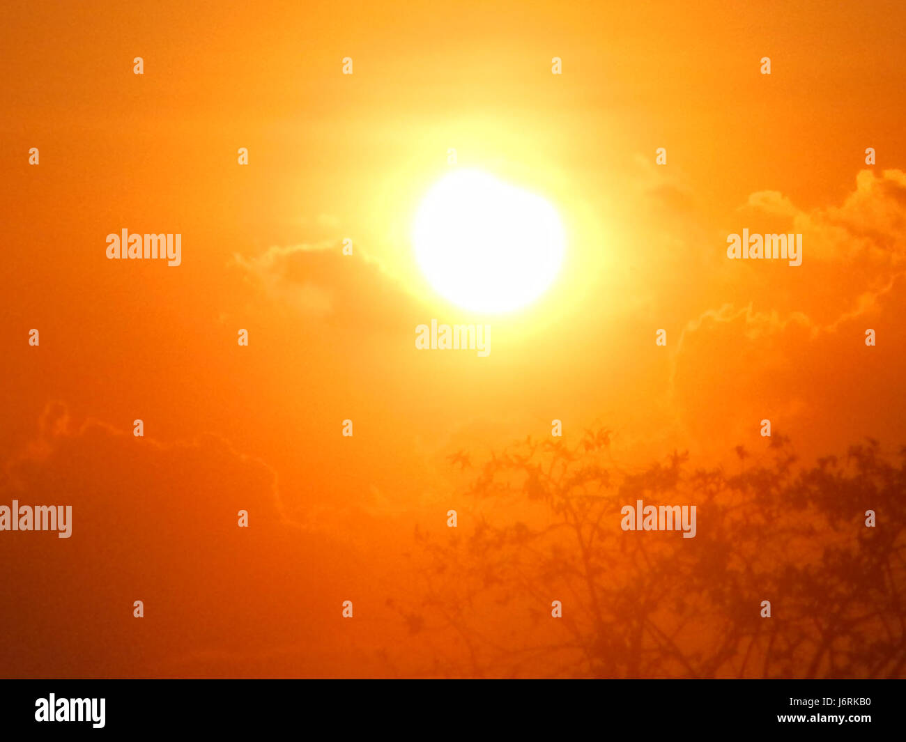 The area located at 07445 San Nicolas Poblacion Boulevard in Minalin ...