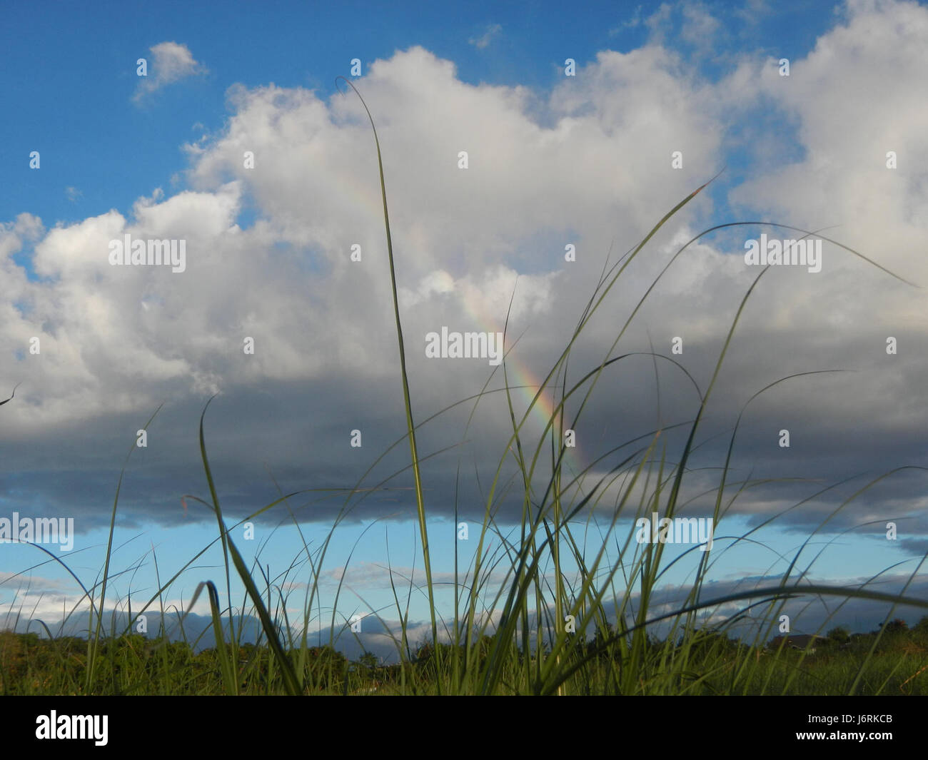 The image labeled '09531' captures the beauty of rainbows over the town ...