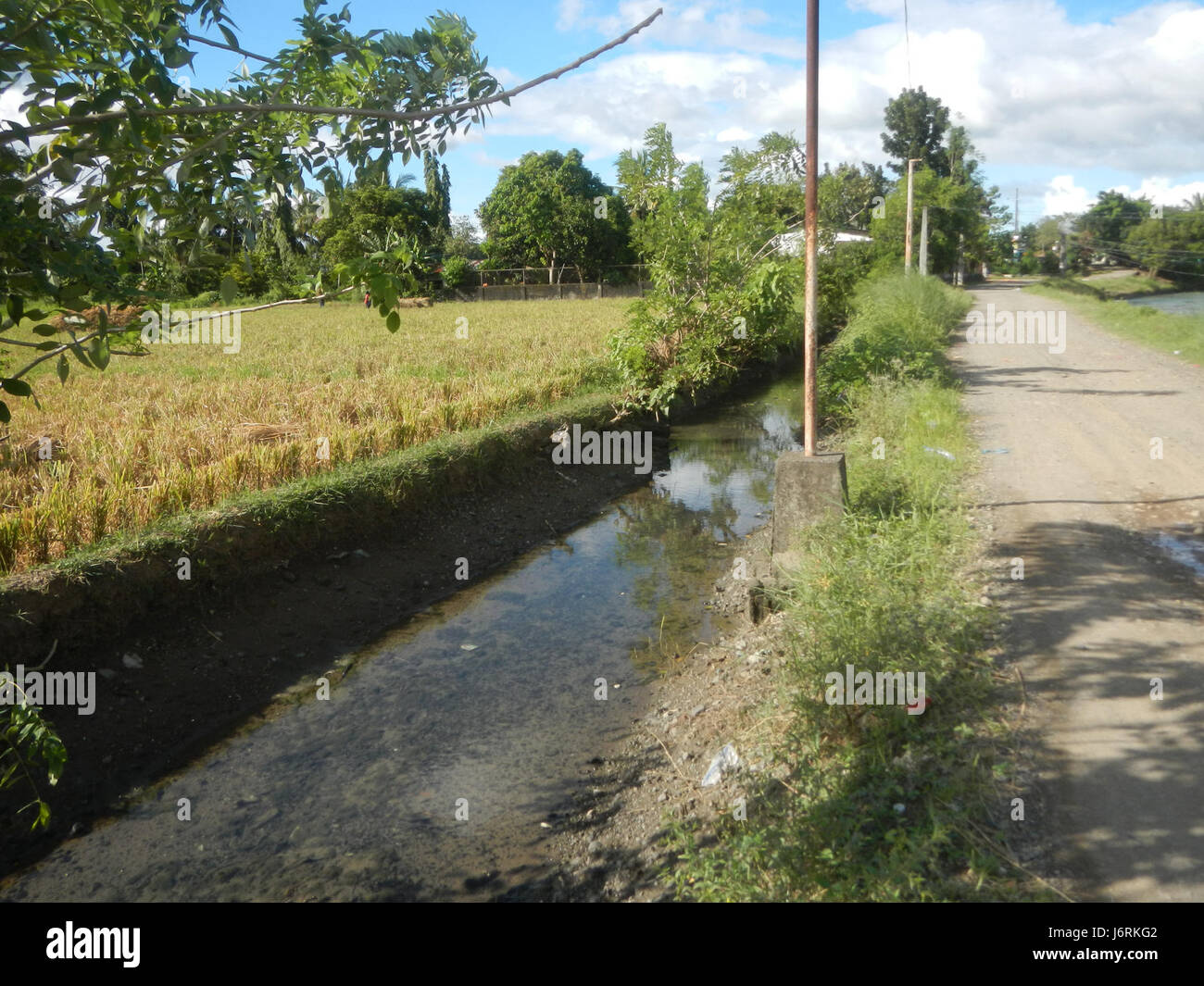 This scene from Bustos, Bulacan, shows agricultural areas, including ...