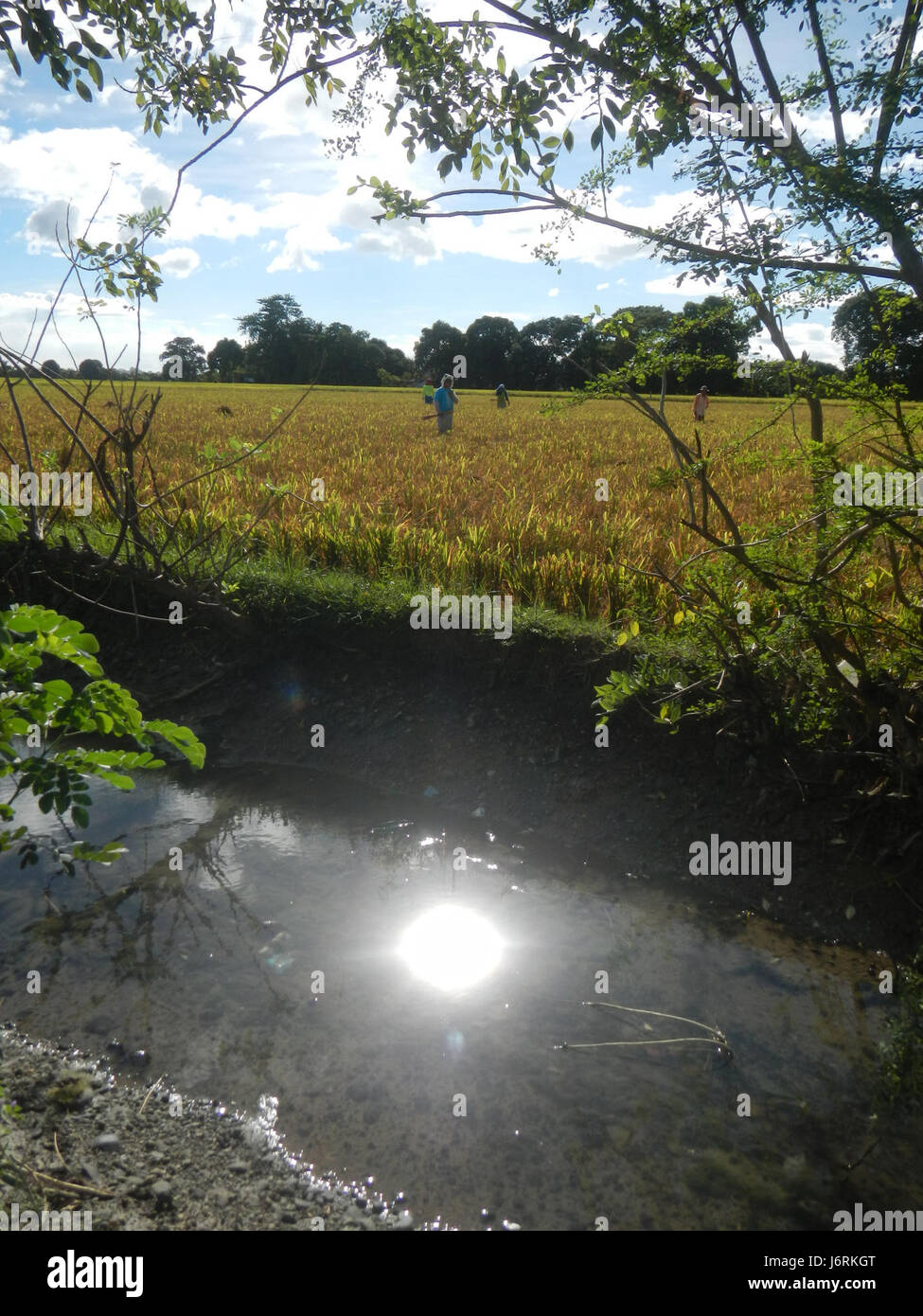 The photograph captures a rural landscape in Talampas, Bustos, Bulacan ...