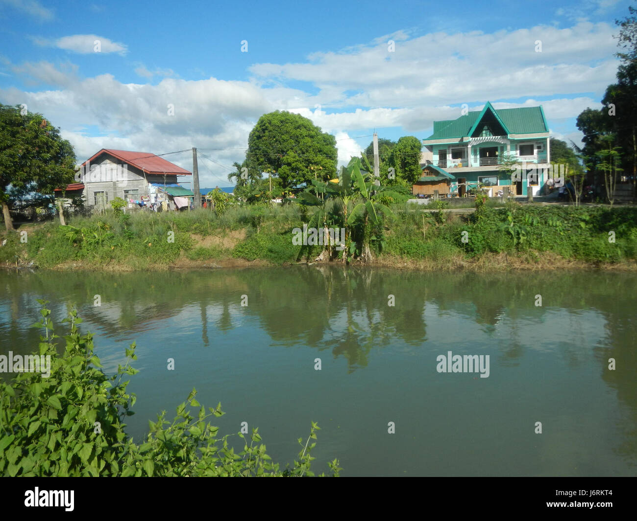 This image captures the lush paddy fields, trees, and irrigation canals ...