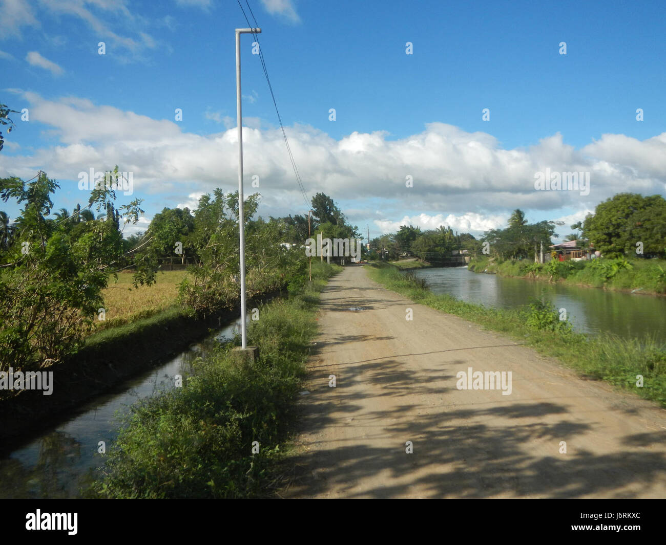 08749 Paddy fields trees irrigation canals Farm to Market Road Talampas ...