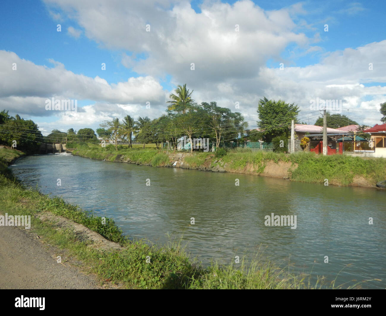 08749 Paddy fields trees irrigation canals Farm to Market Road Talampas ...
